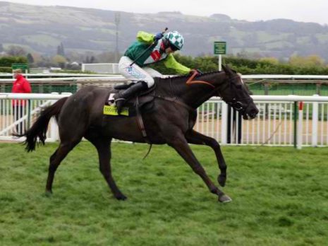 What next? 6 successfully retrained horses - Great British Racing