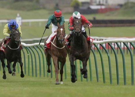 What next? 6 successfully retrained horses - Great British Racing