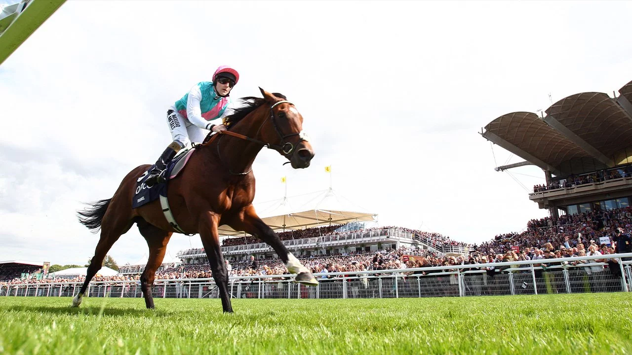 Frankel: Everything you need to know - Great British Racing