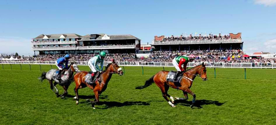 QUIZ: How much do you know about Ayr racecourse? - Great British Racing