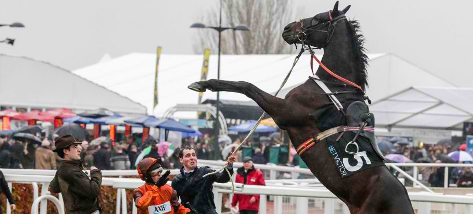 Personality test: Which Jumps racehorse are you? - Great British Racing