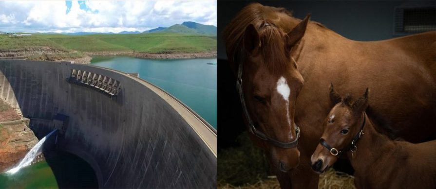 15 Words that mean something different to Racing fans - Great British ...