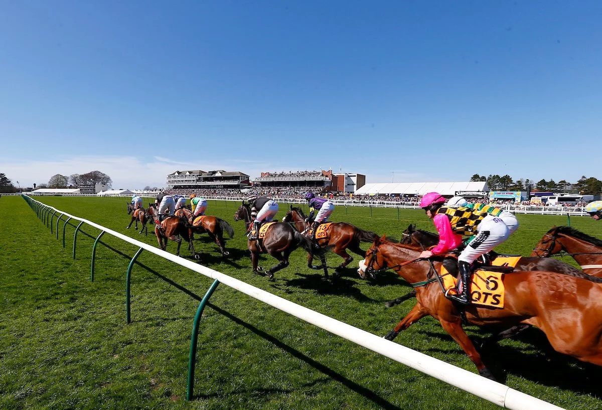 Ayr - Great British Racing