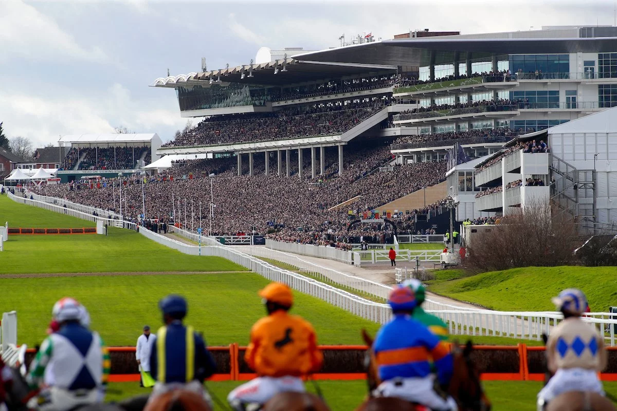 Cheltenham - Great British Racing