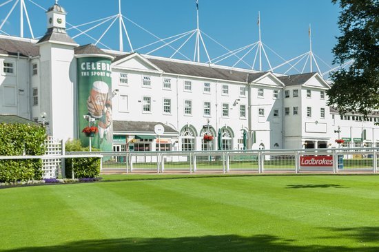 Hamilton Park - Great British Racing