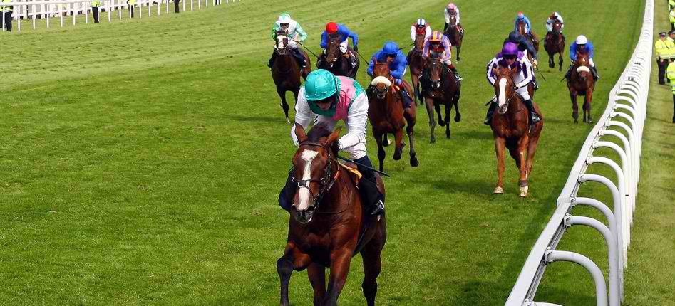 5 Derby Winners that took the breath away - Great British Racing