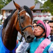 Goodwood - Great British Racing