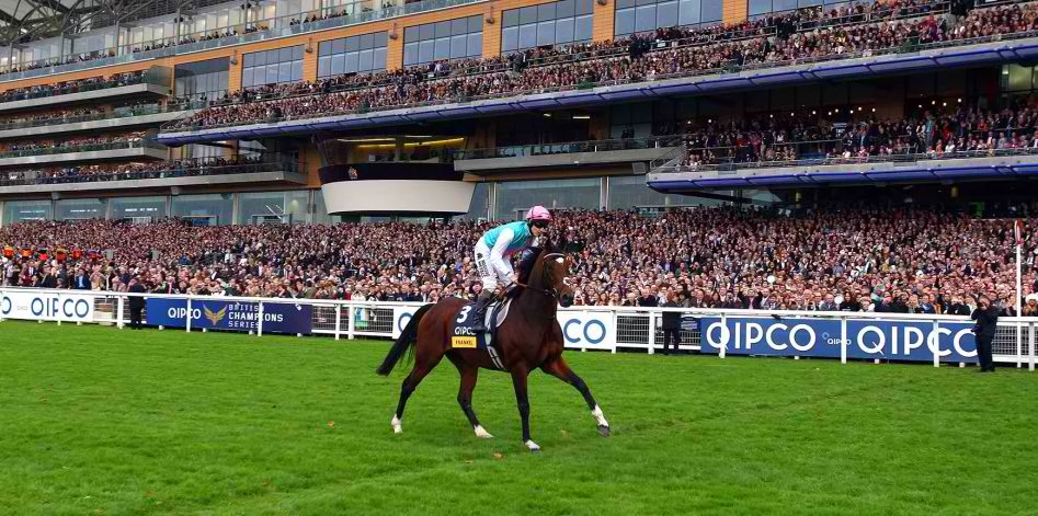 Frankel: Everything you need to know - Great British Racing