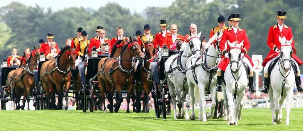 Meet the Board - Great British Racing