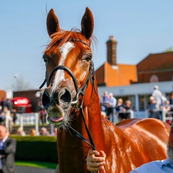 Nottingham - Great British Racing