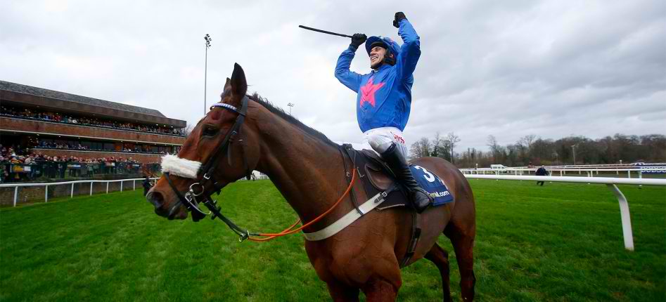 QUIZ: How well do you know Cue Card? - Great British Racing