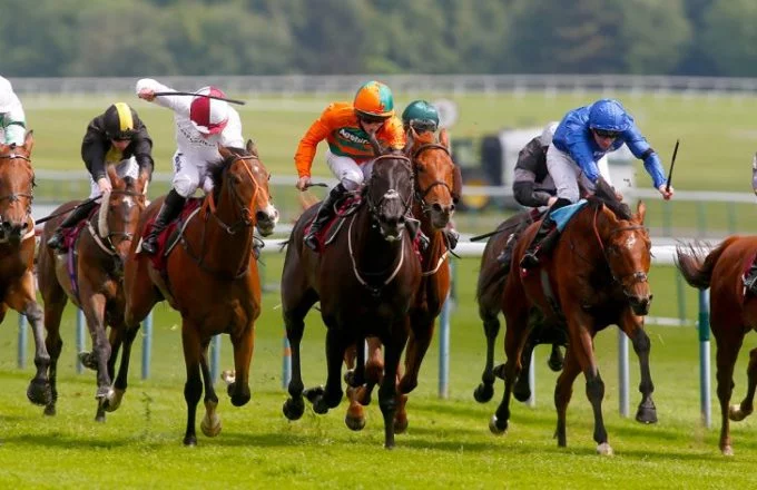 The Top 11 Horse Racing Films - Great British Racing