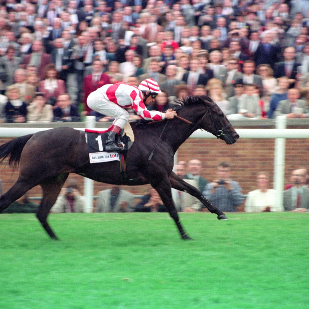 A Brief History: The Welsh Grand National - Great British Racing