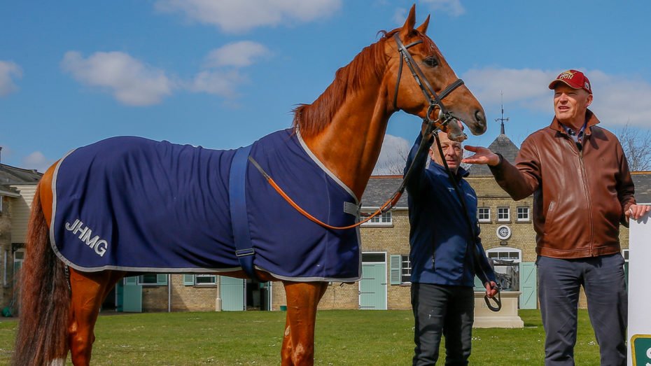 11 of the funniest horse racing quotes - Great British Racing