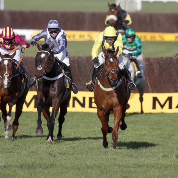 Revelling in Retirement - Mon Mome - Great British Racing