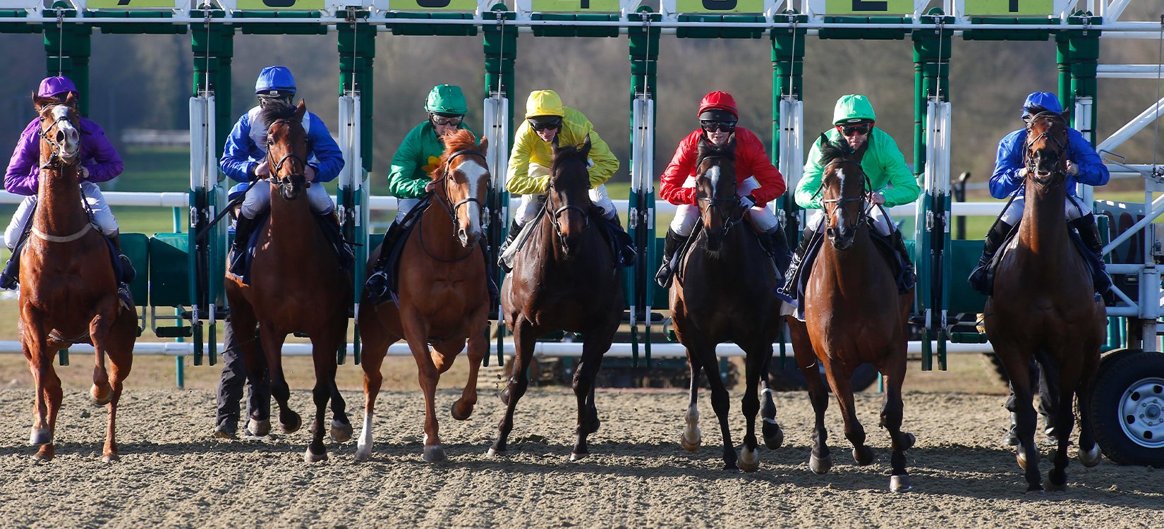 All-Weather Championships Finals Day & Easter racing - Great British Racing