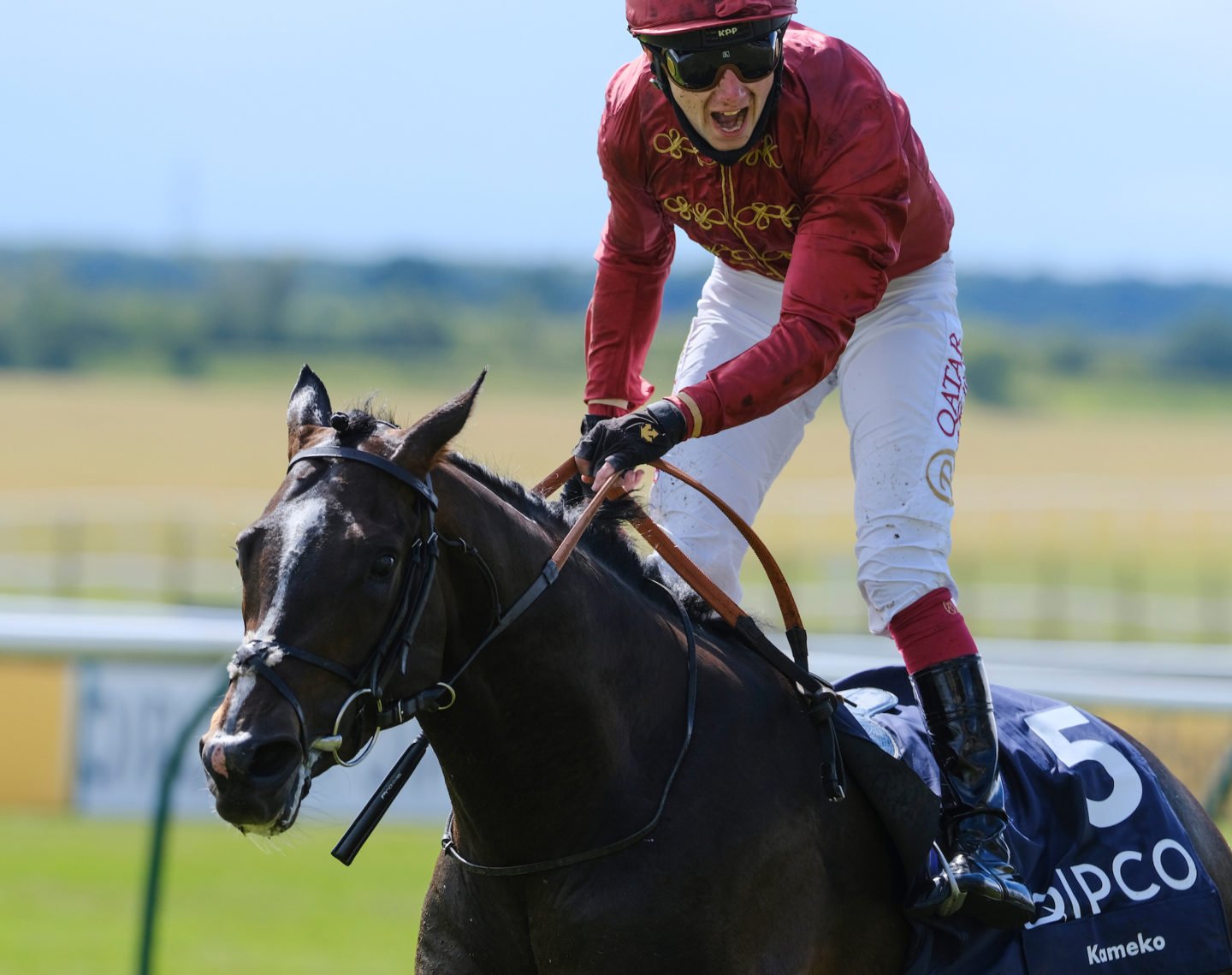 The Top 5 Champion Flat Jockey contenders 2021 - Great British Racing