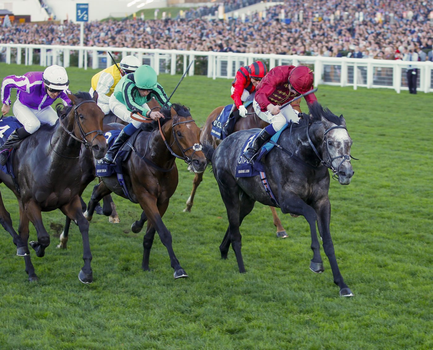 The Top 5 Champion Flat Jockey contenders 2021 - Great British Racing