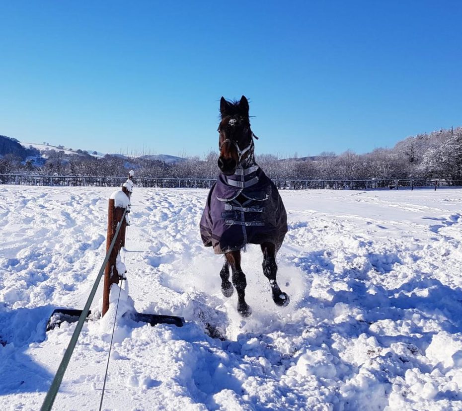 Revelling in Retirement - Mon Mome - Great British Racing