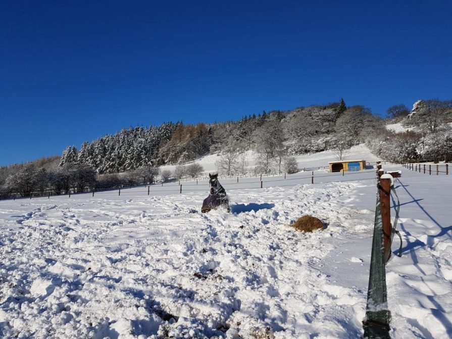 Revelling in Retirement - Mon Mome - Great British Racing