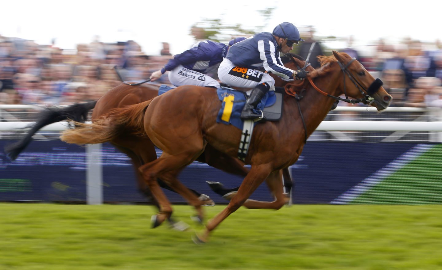 Football players and horse racing: From racegoers to big time owners ...