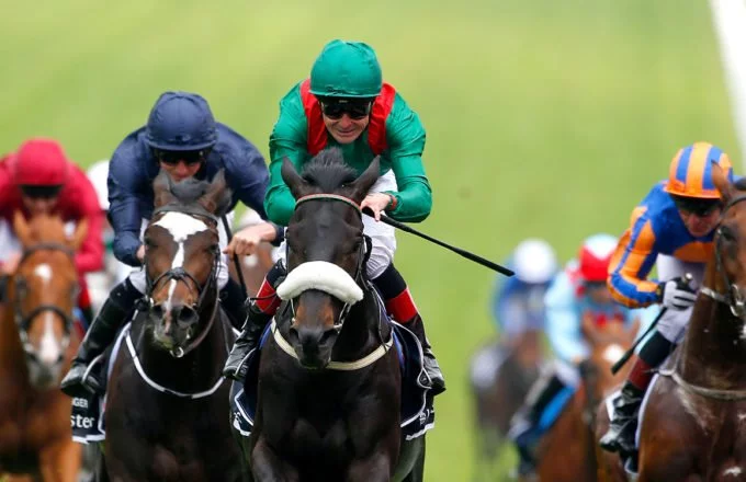 The 20 year Derby Dynasty - Aidan O'Brien - Great British Racing