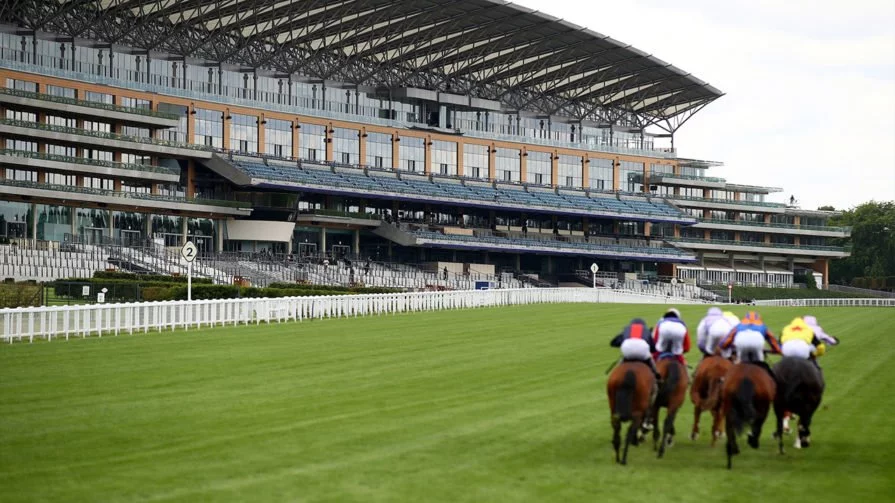 11 popular phrases that come from horse racing - Great British Racing