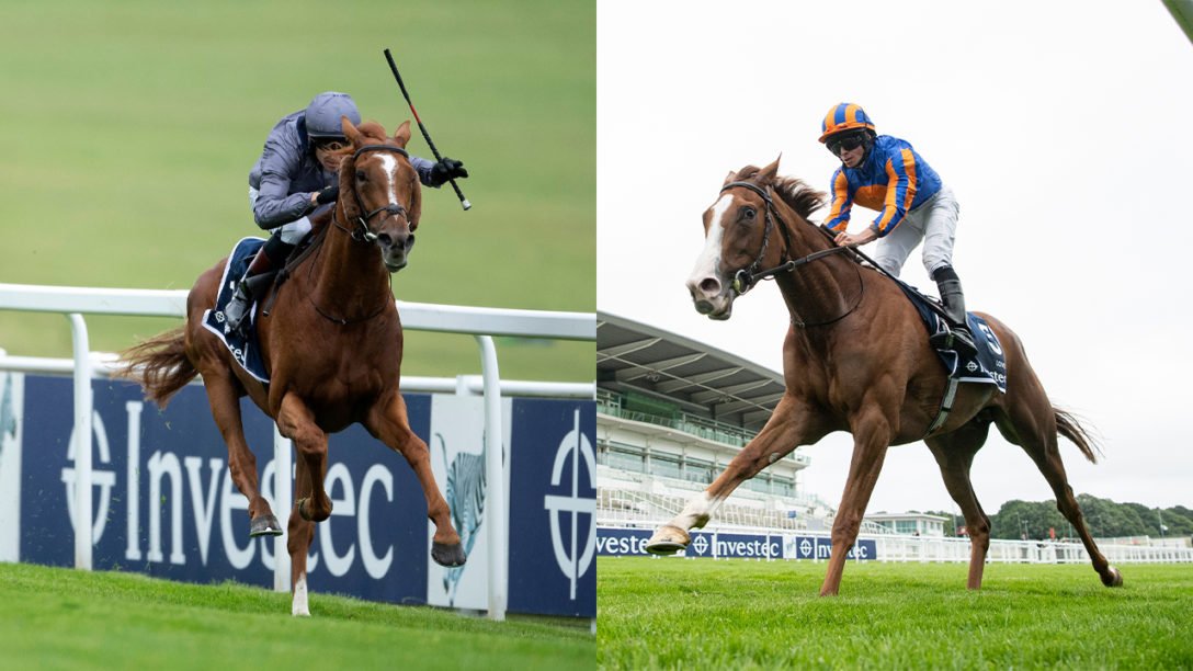 The 20 year Derby Dynasty - Aidan O'Brien - Great British Racing