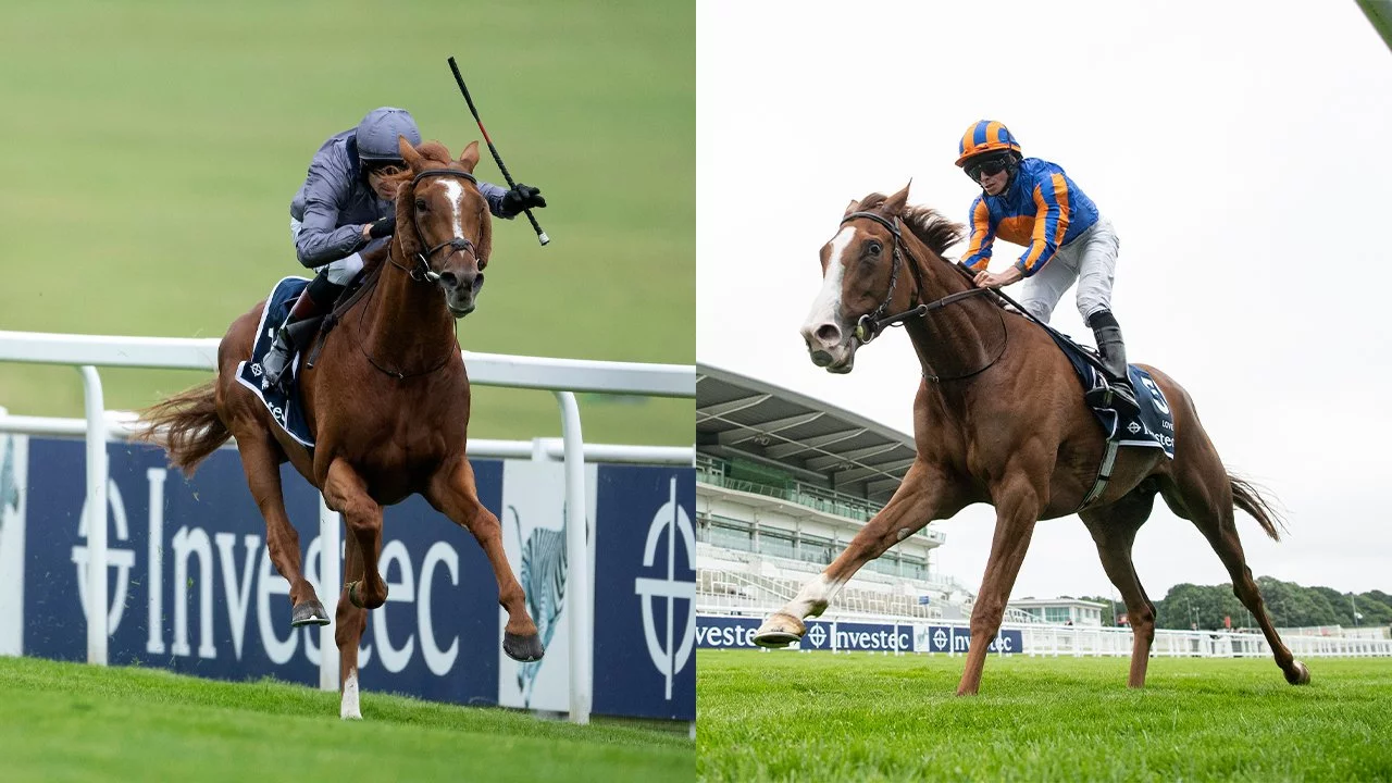 The 20 year Derby Dynasty - Aidan O'Brien - Great British Racing