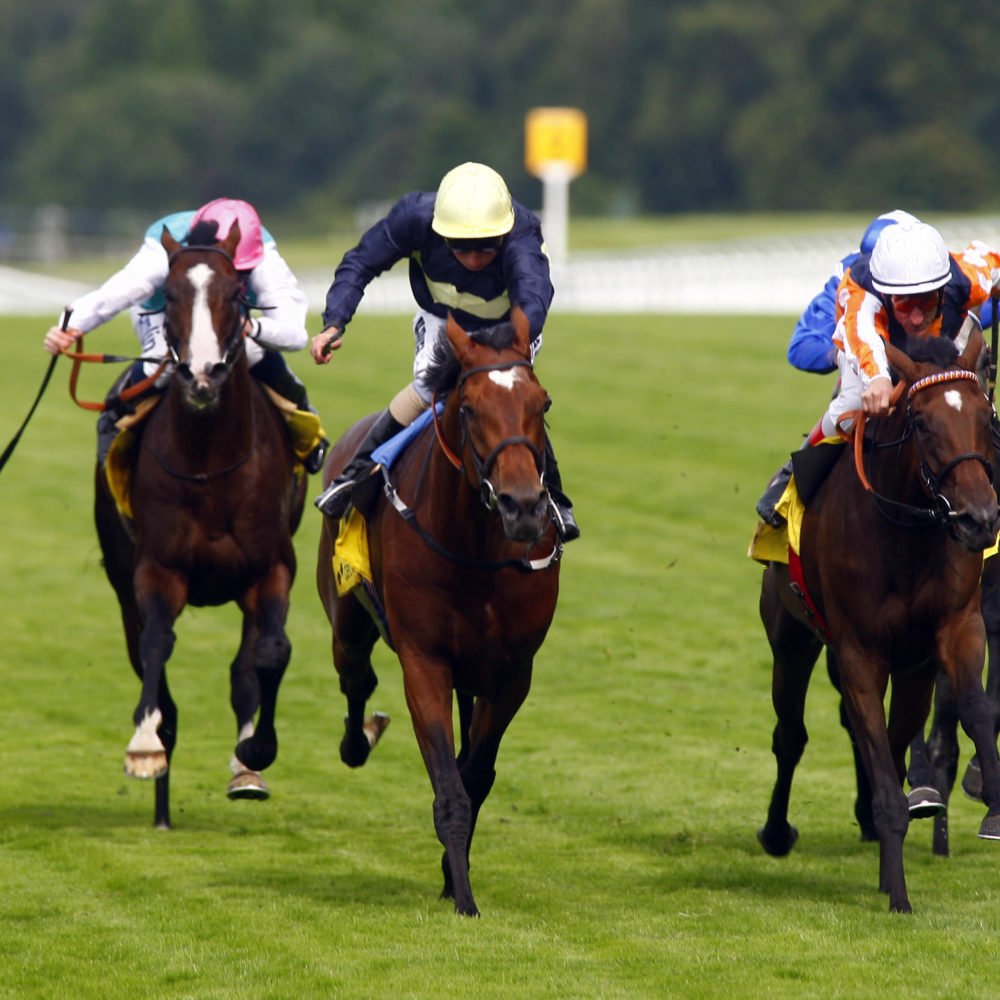 Charlie Appleby - Under Starters Orders - Great British Racing