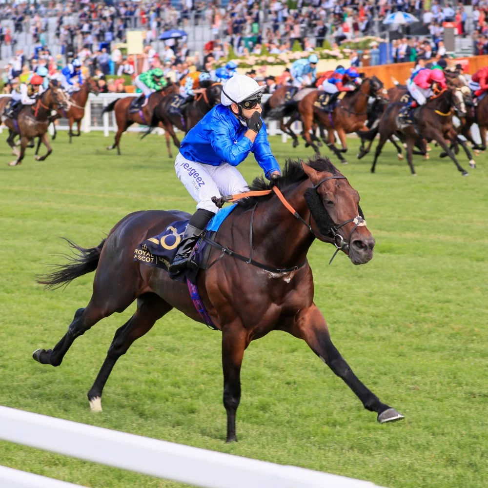 Hart, Buick and Morris Nominated For August Jockey Of The Month ...