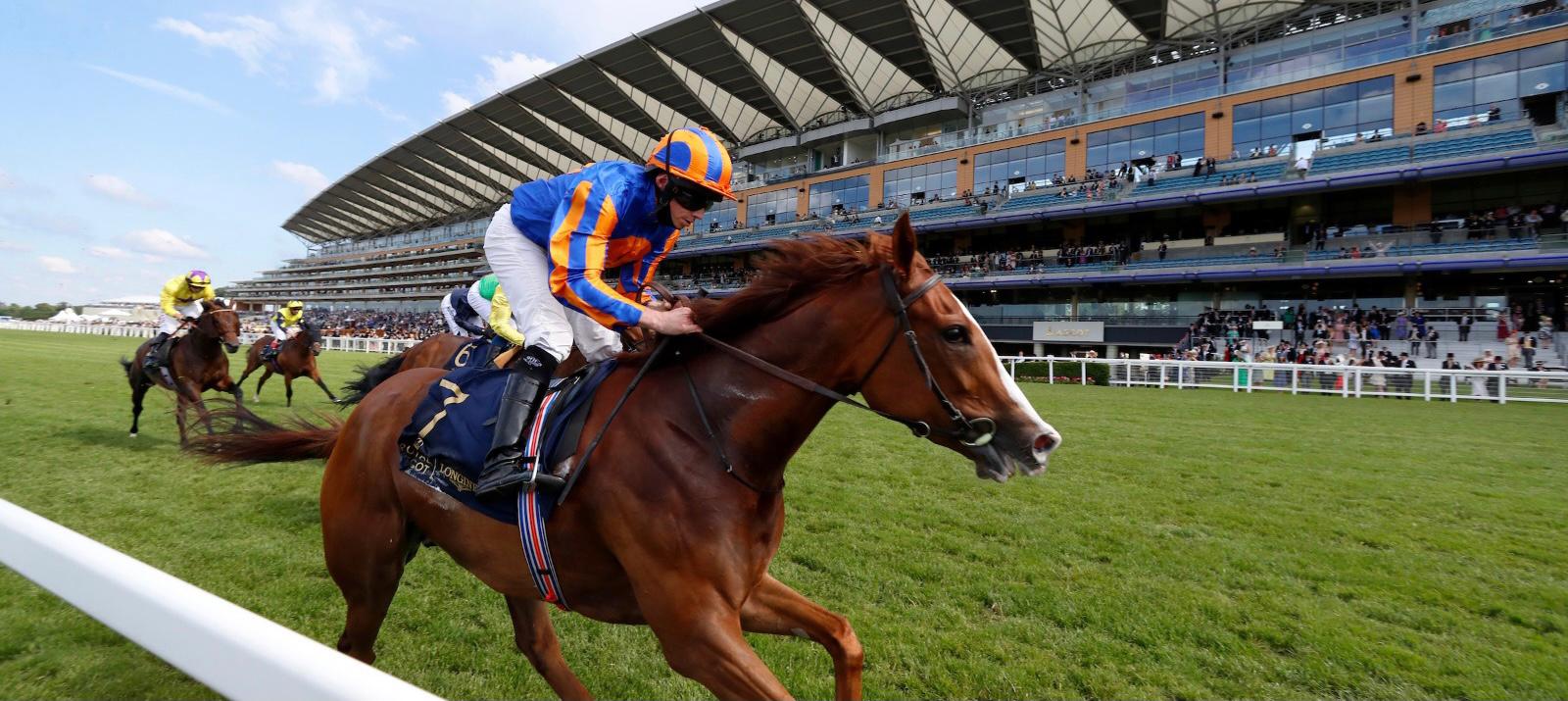 Can Love Conquer All In the King George? - Great British Racing