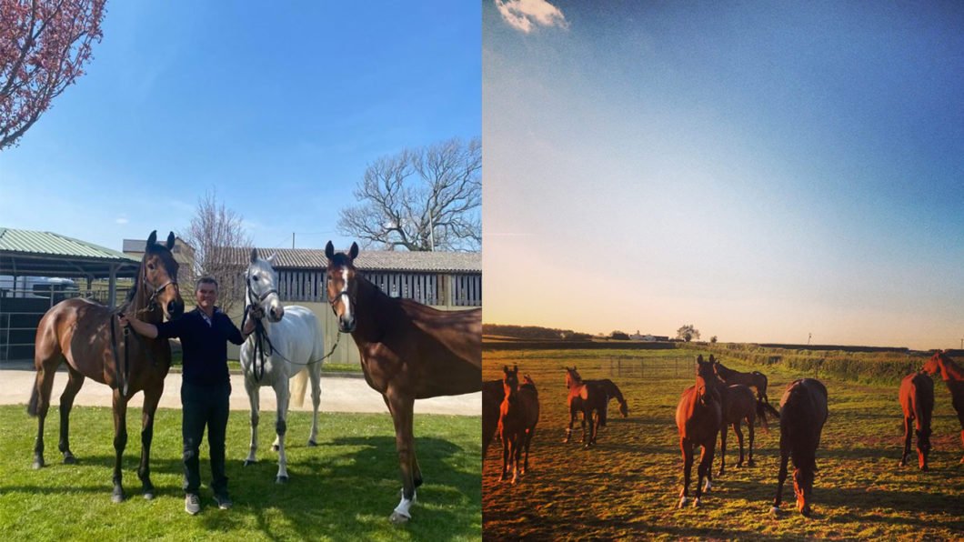 In The Spotlight | Love The Racehorse with Evan Williams - Great ...