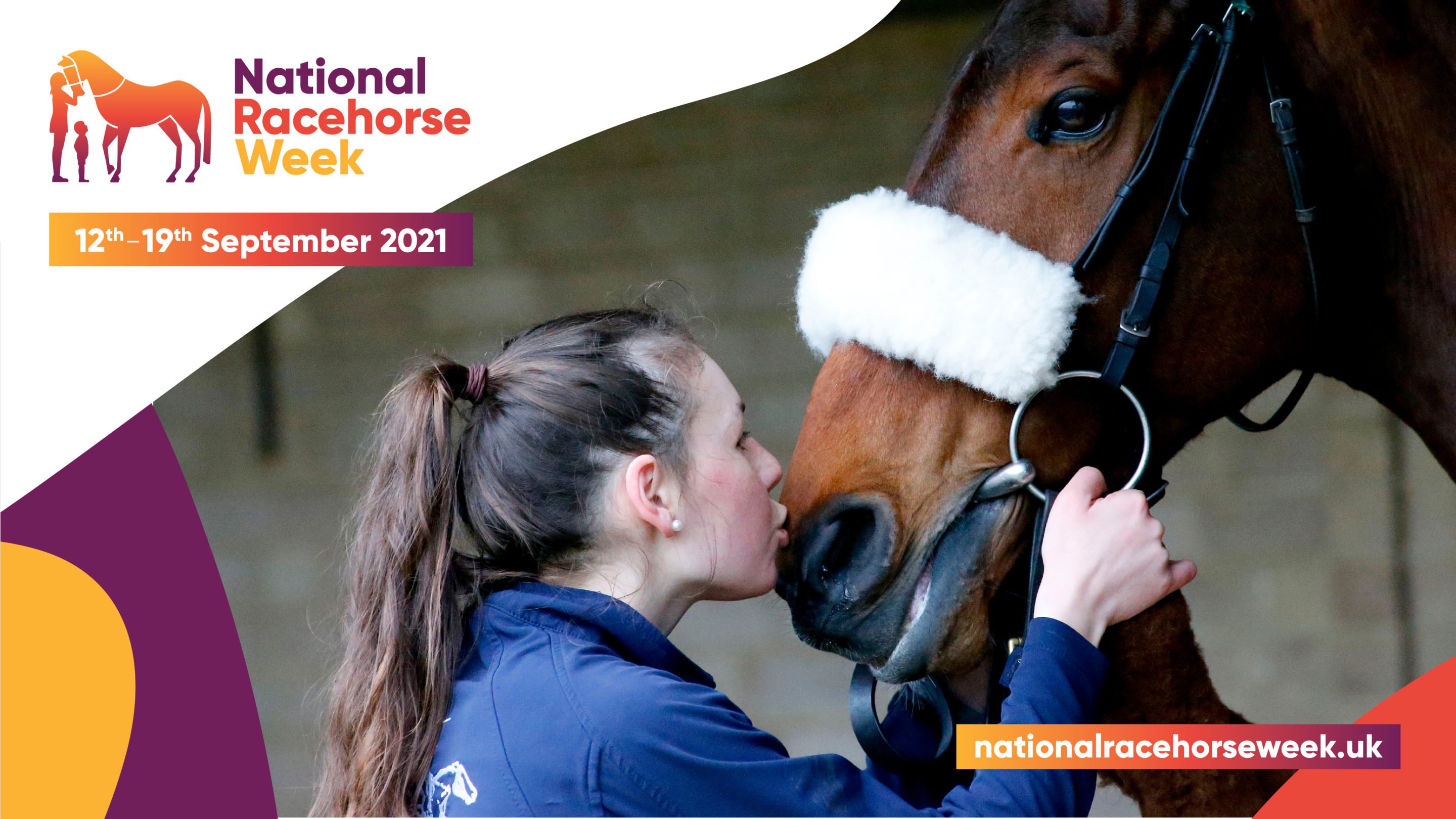 In The Spotlight | Love The Racehorse with Evan Williams - Great ...