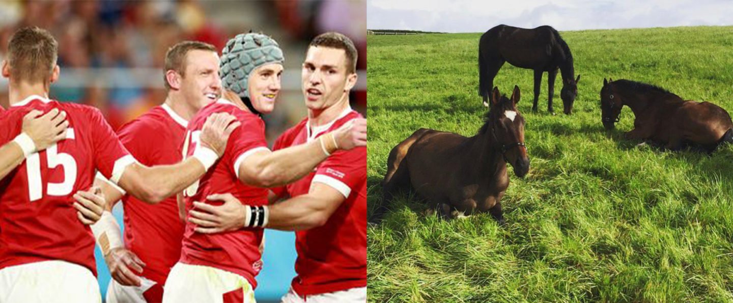 In The Spotlight | Love The Racehorse with Tim Vaughan - Great British ...