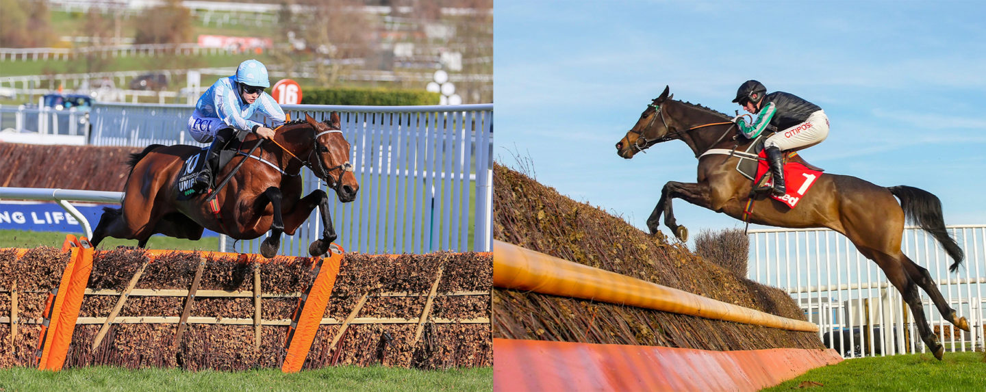 The Ultimate Guide to Flat and Jumps racing - Great British Racing