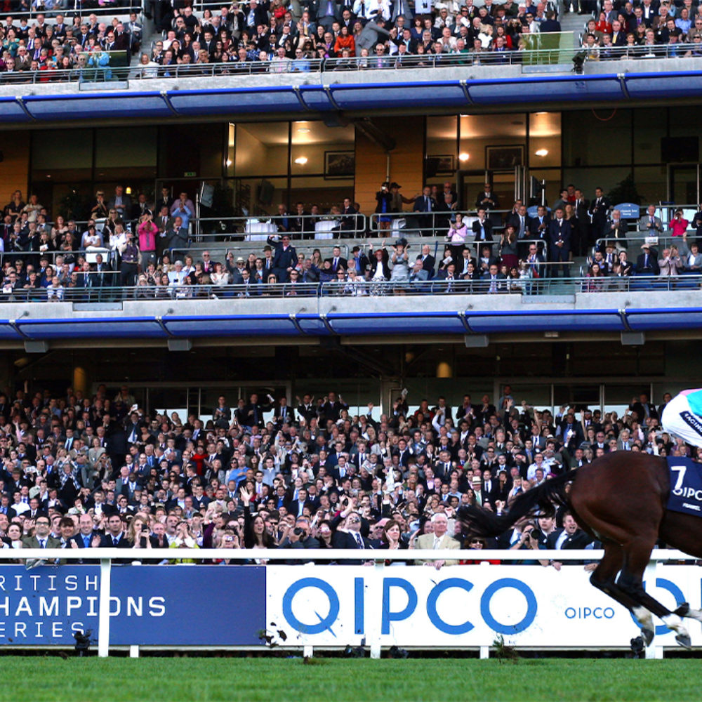 Painting The Picture - Racehorse Commentary - Great British Racing