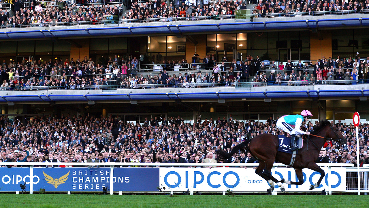 10 Years On | Frankel destroys top-class field at first Champions Day ...