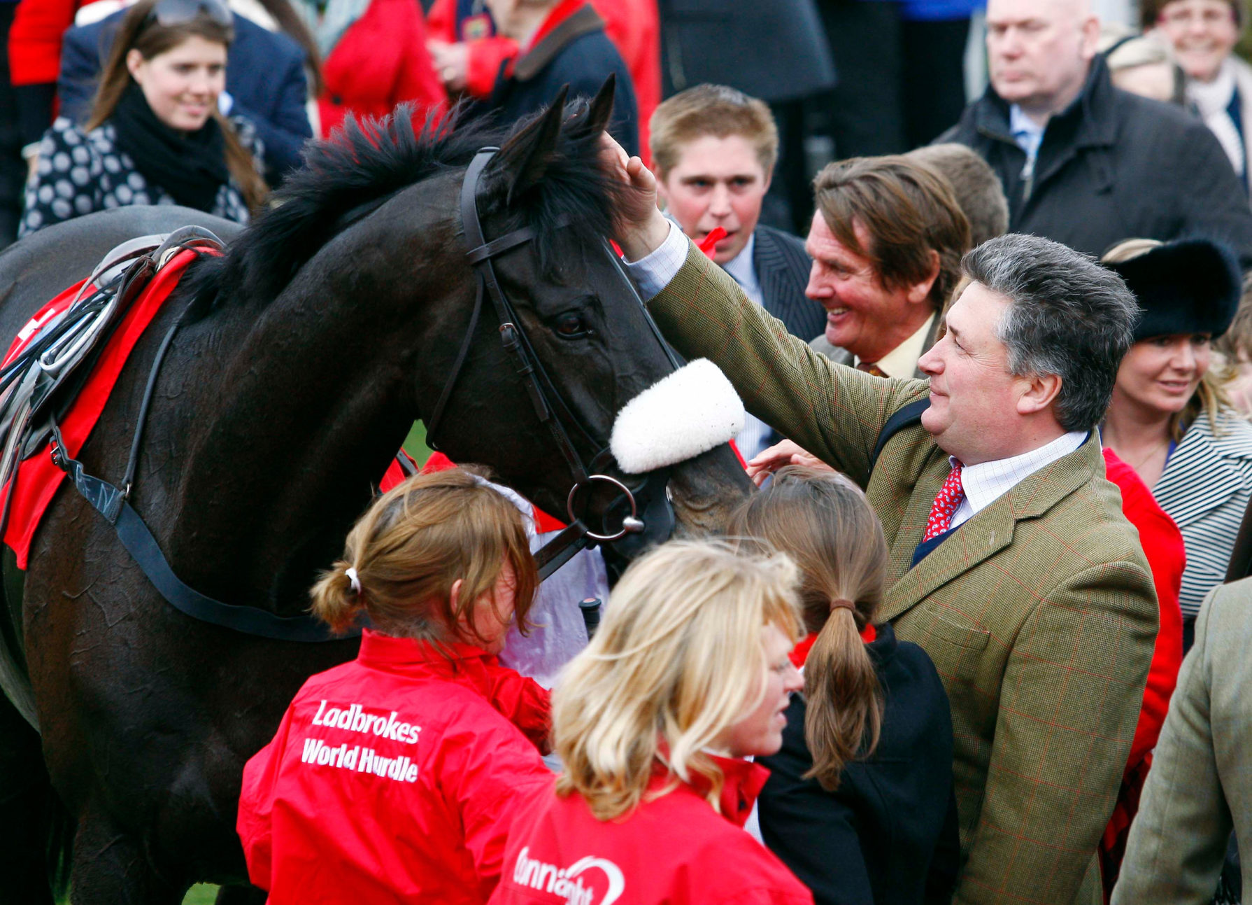 Top 9 Greatest Jumps Racehorses This Century - Great British Racing