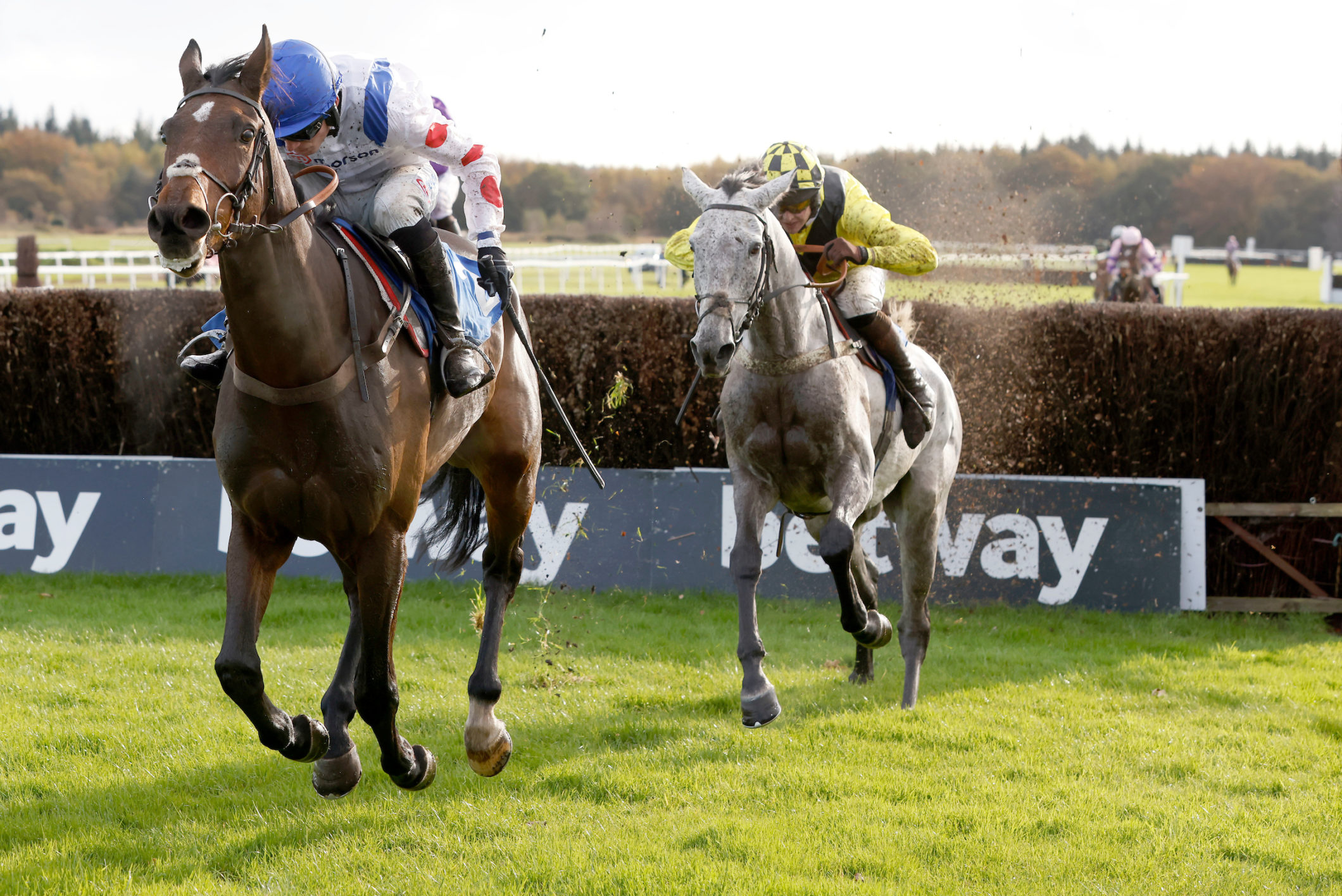 Harry Cobden: Hitman taking aim at Tingle Creek - Great British Racing