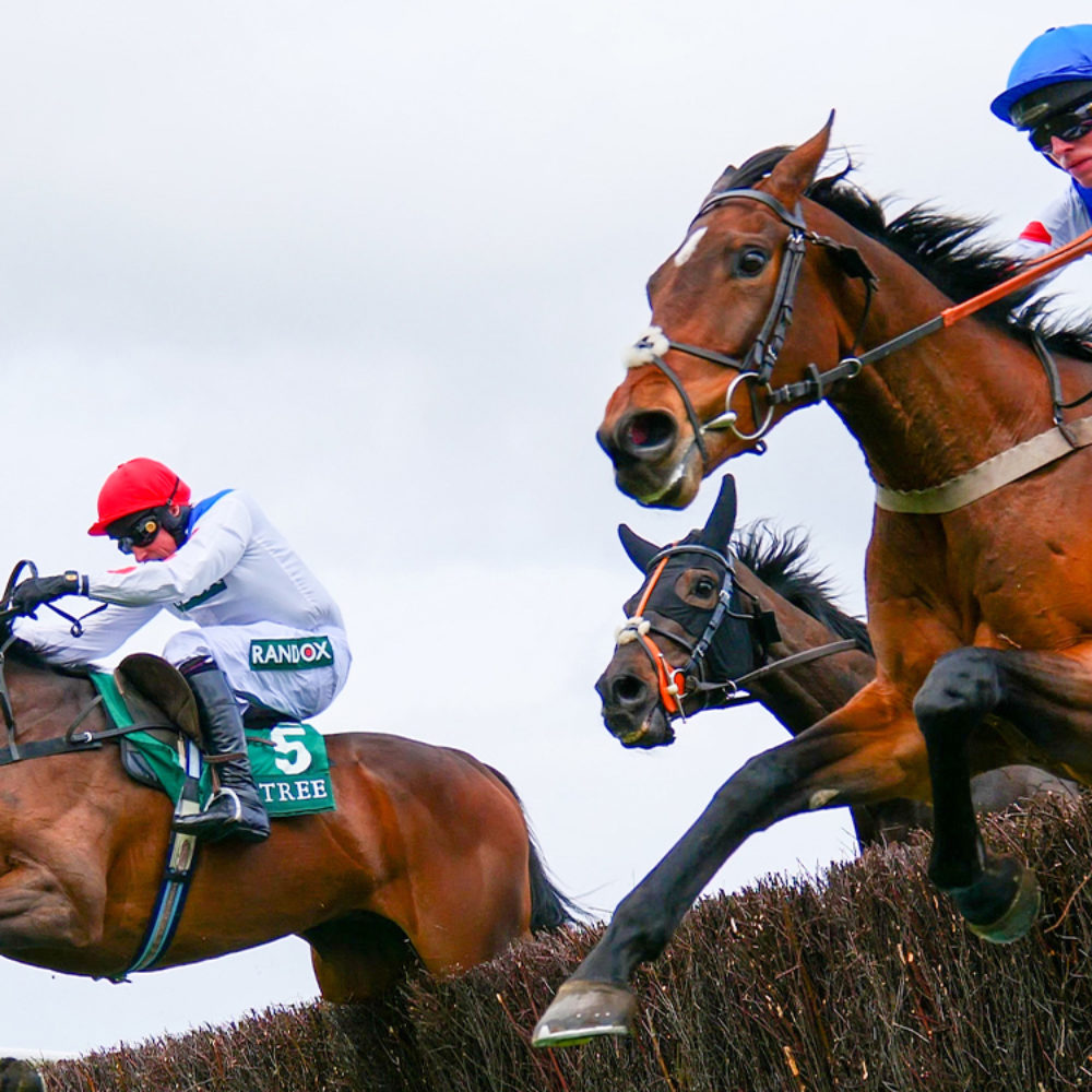 Painting The Picture - Racehorse Commentary - Great British Racing