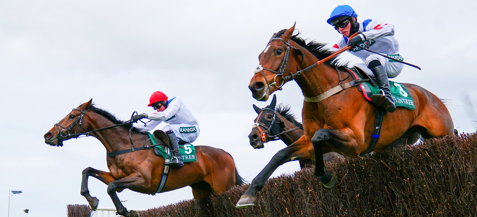 Harry Cobden: Hitman taking aim at Tingle Creek - Great British Racing