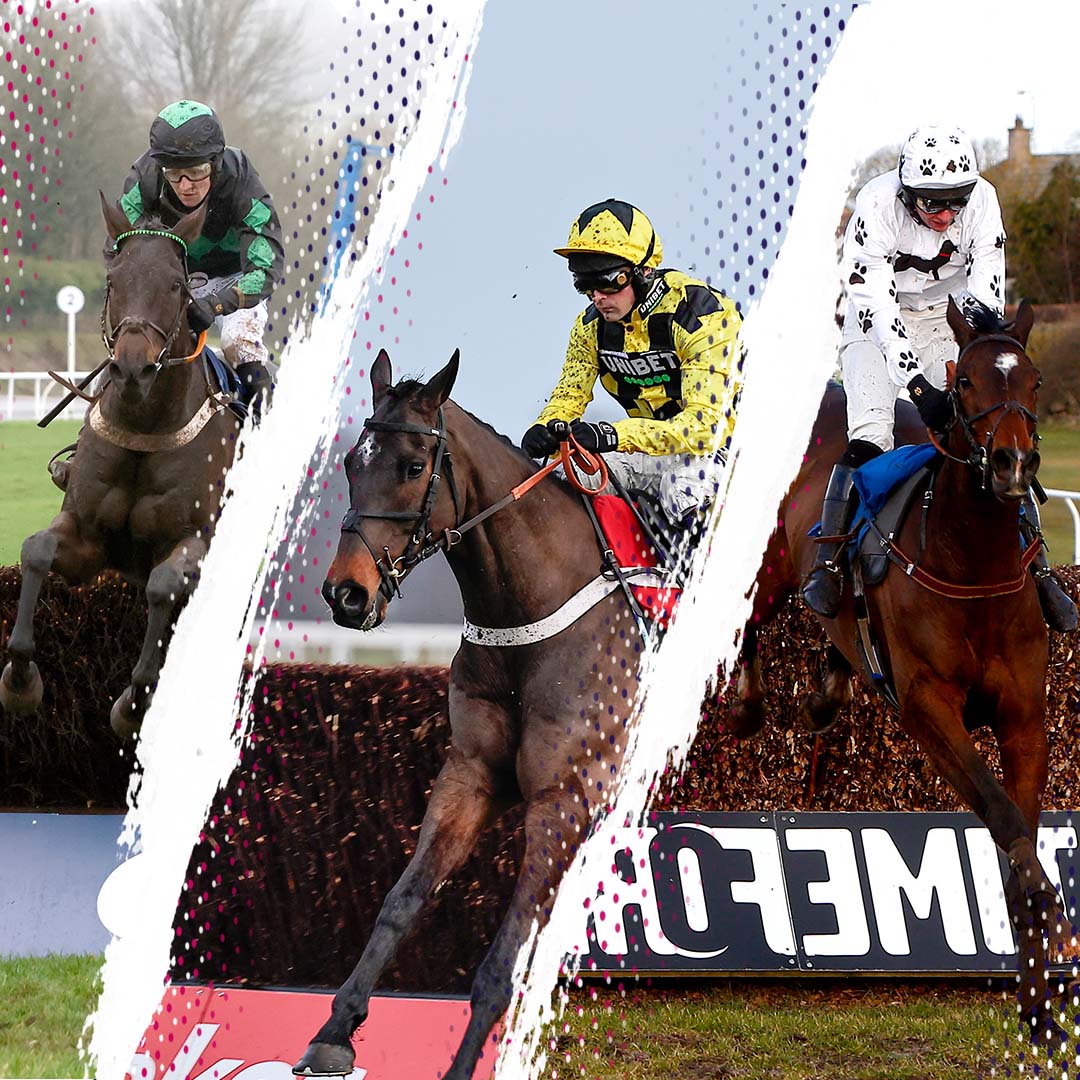Big Hitters Nominated For December Horse Of The Month - Great British ...