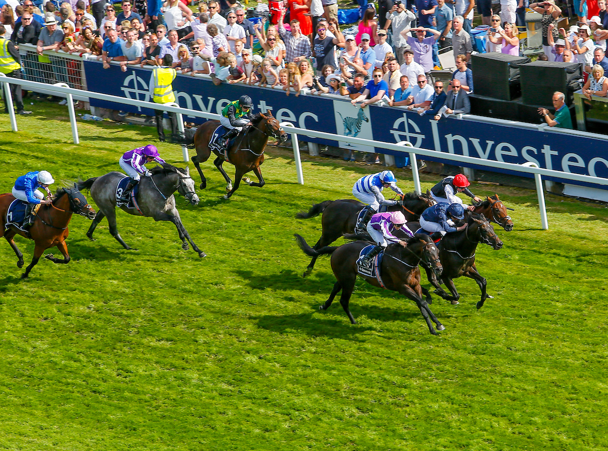 Top 13 Horse Racing Facts You Might Not Know - Great British Racing
