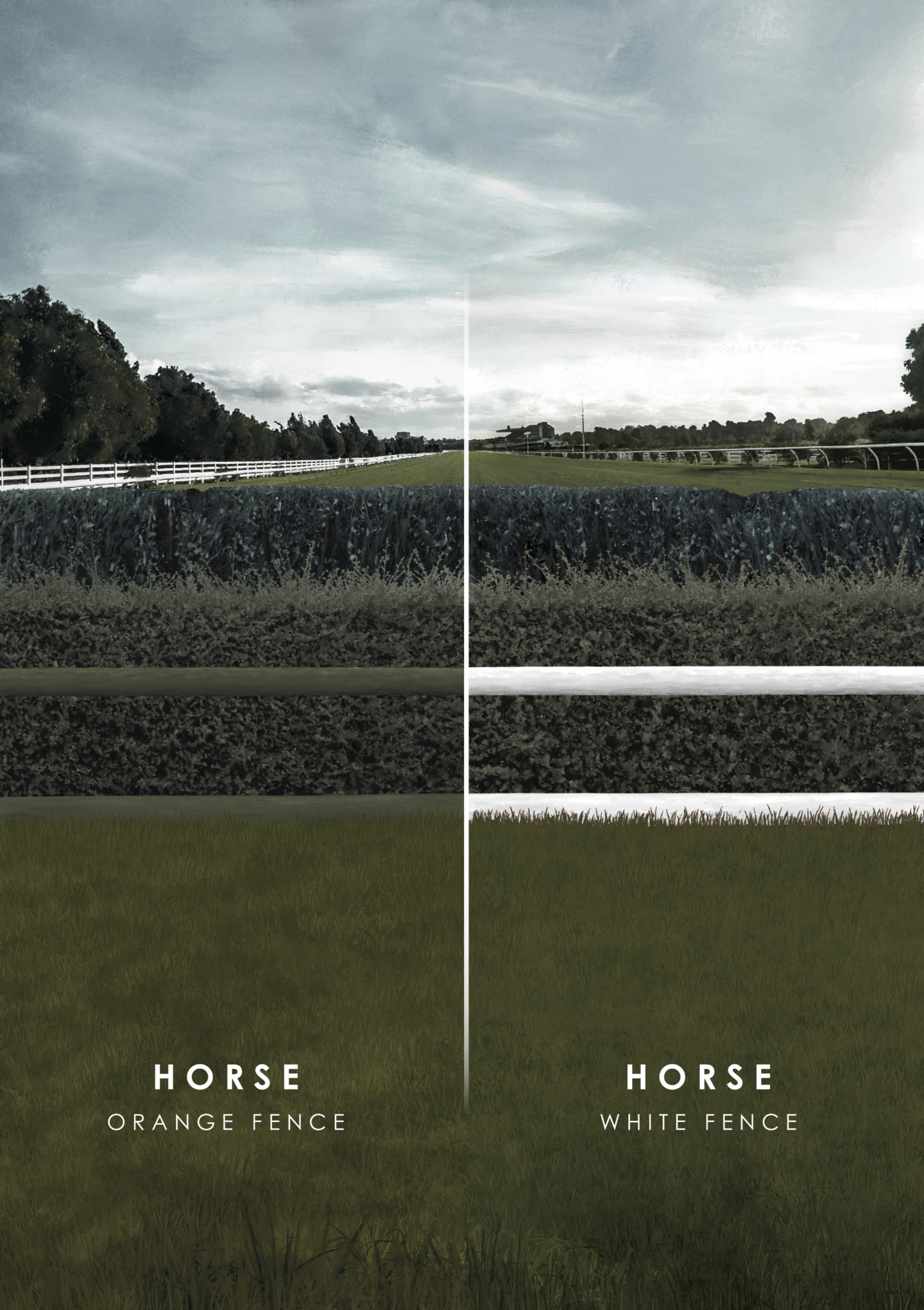 Orange to White: Racing Looks Through The Eyes Of The Horse - Great ...