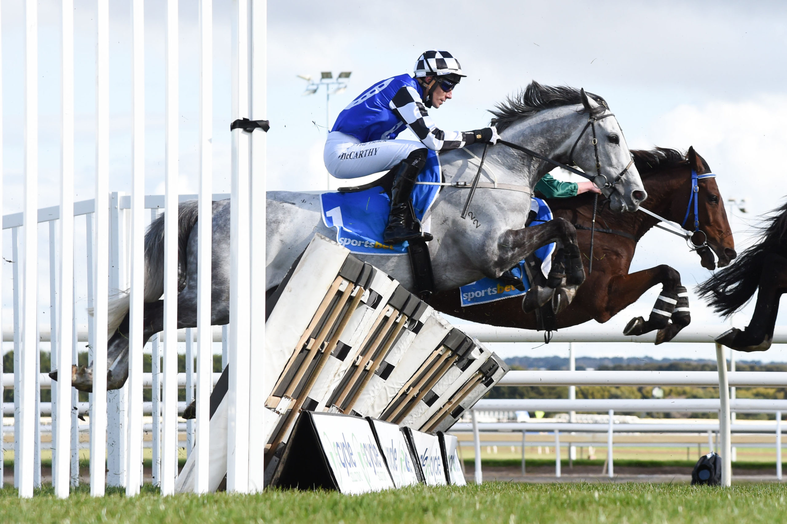 Orange to White: Racing Looks Through The Eyes Of The Horse - Great ...