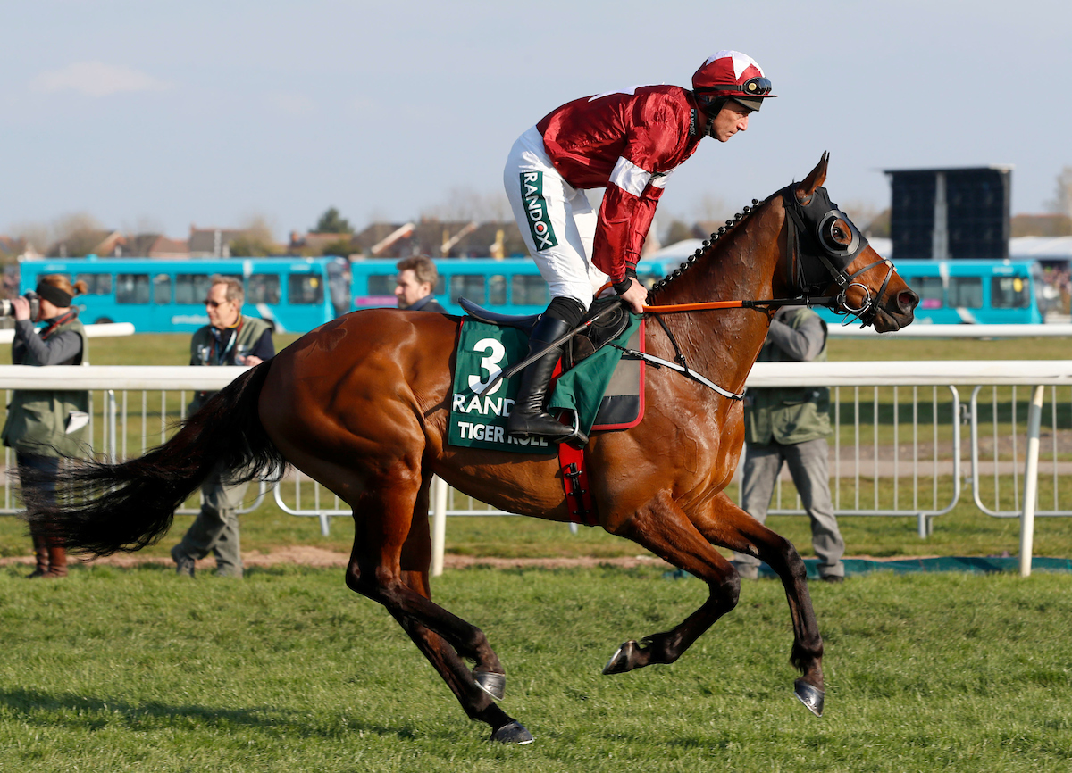 Tiger Roll
