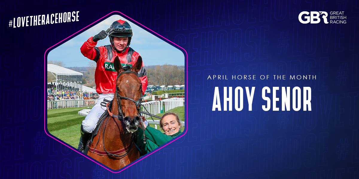 Greaneteen Among Three Nominated For April's Horse Of The Month Award ...