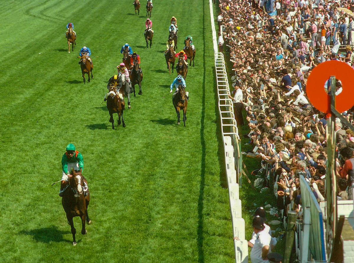 The Derby - A Beginner's Guide - Great British Racing