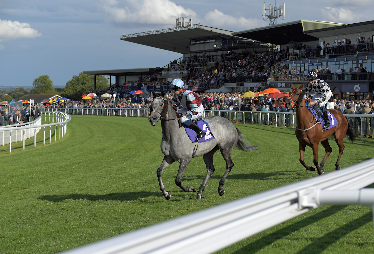 My Local Racecourse - Beverley - Great British Racing